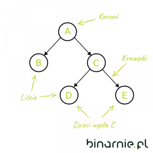 Struktury danych: drzewo binarne - Binarnie.pl